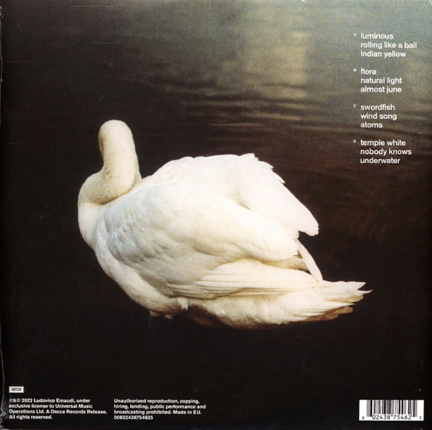 Ludovico Einaudi - Nobody Knows Noten für Piano downloaden für Anfänger ...